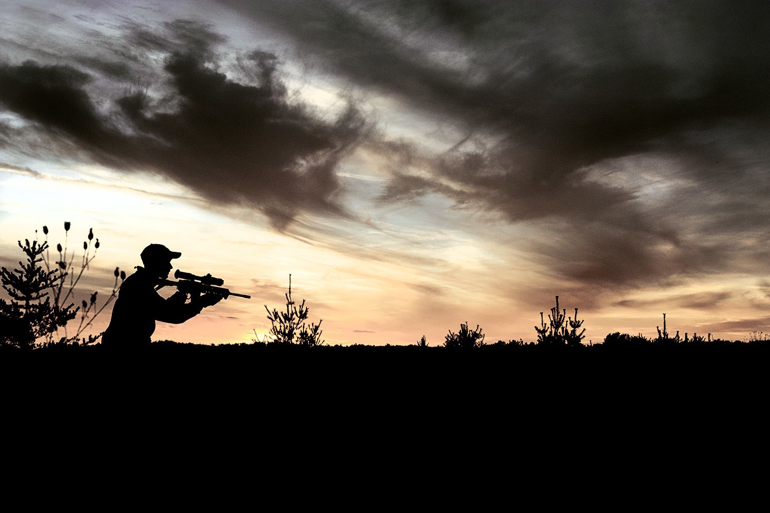 Sightmark Photon XT 6.5x50 Digital NV Rifle Scope . SightMark Night ...